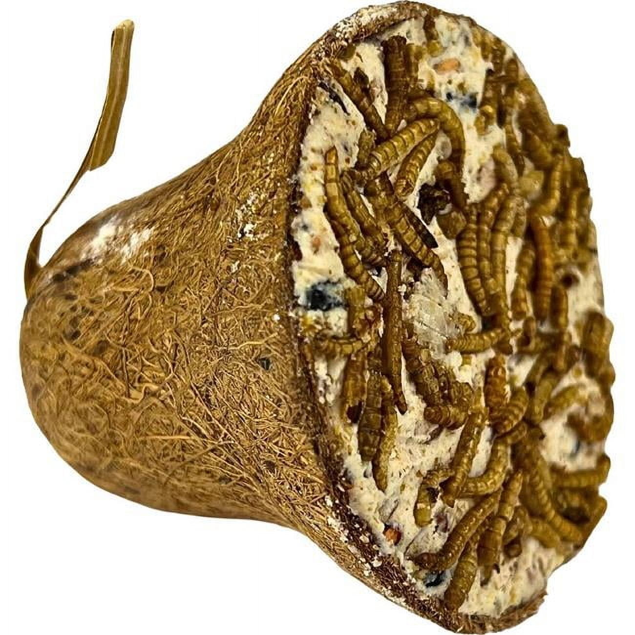 Garden & Fun GF-12837 40g Suet Bell Bird Treat - Mealworms & Nuts ...
