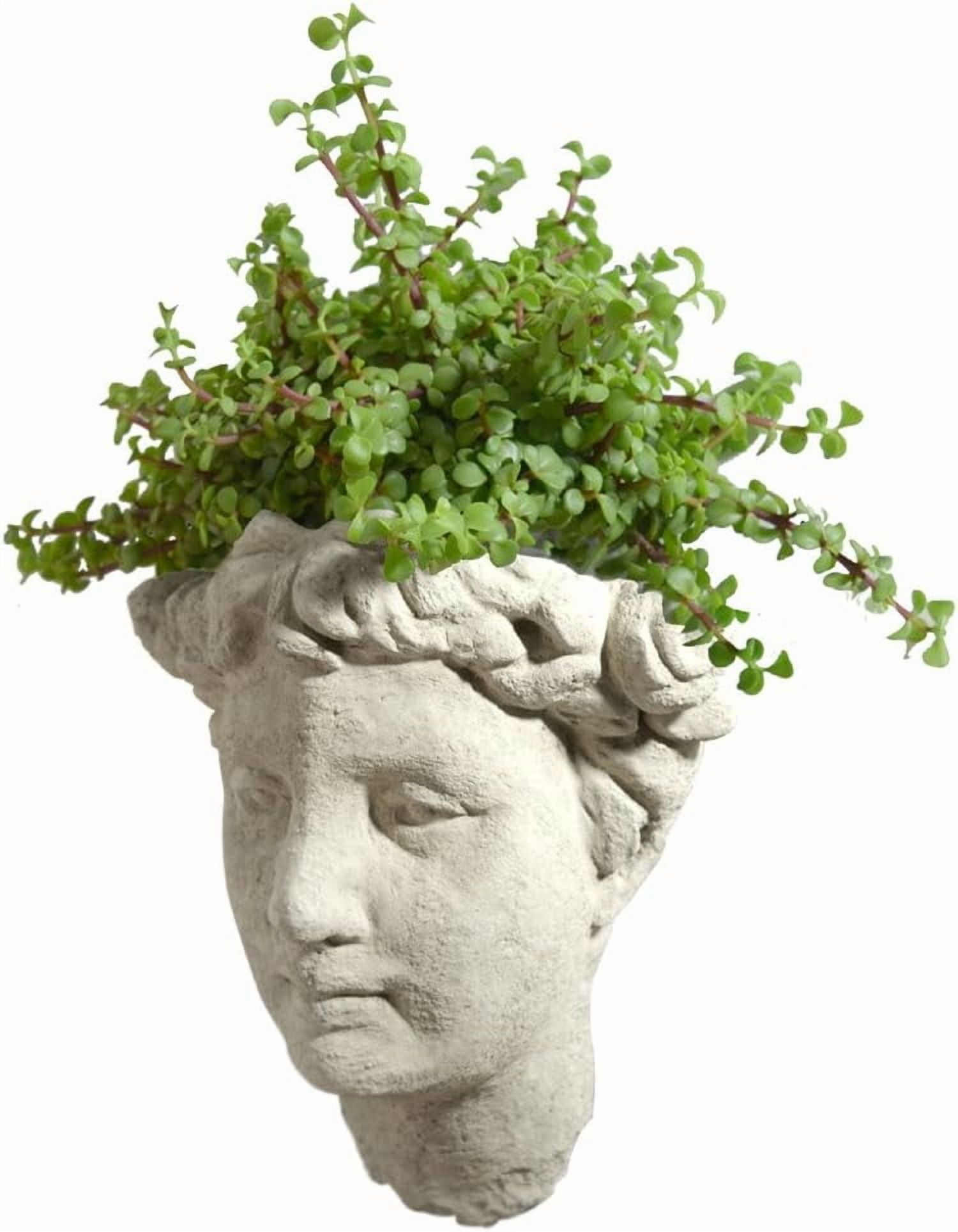 Garden Goddess Bust Wall-Mounted Head Planter, 12-Inch American Made ...