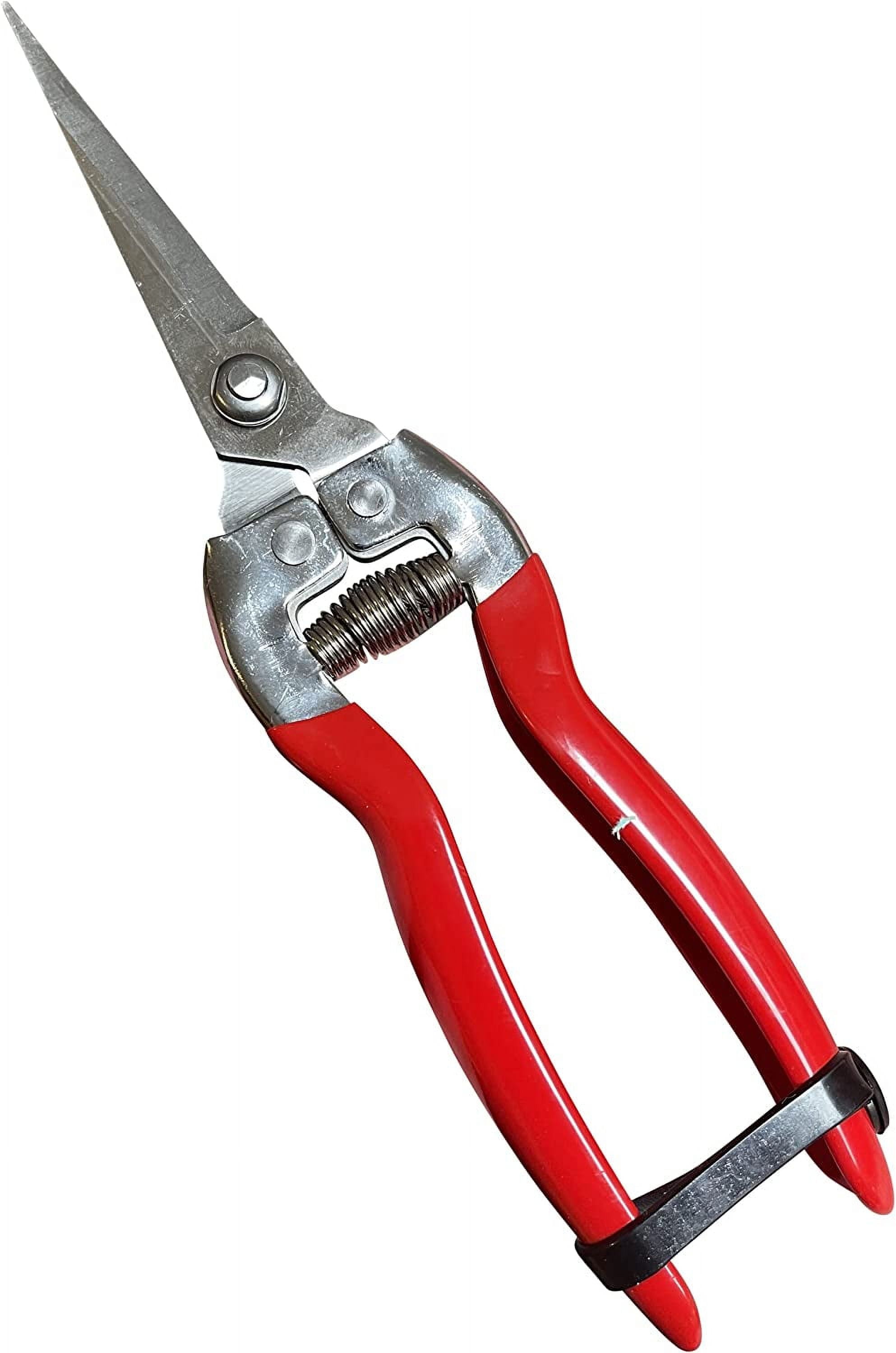 GARDEN GURU Straight Stainless Steel Pruner Pruning Shears Clippers ...