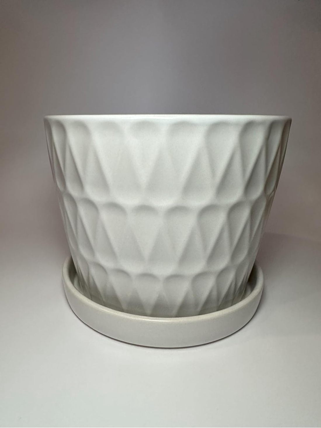 Garden & Home Matte White 8 inch Indoor Ceramic Planter with an ...