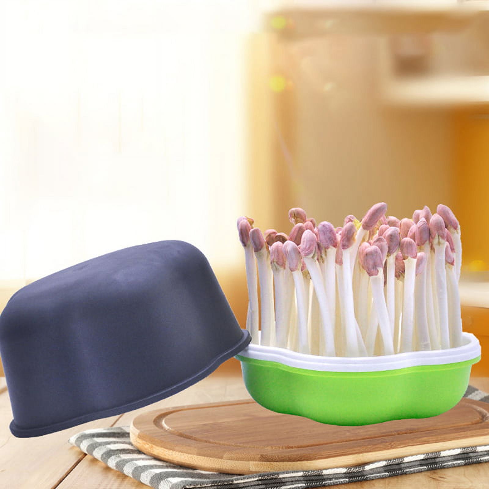 Garden Hydroponic Peanut Sprout Box Bean Pea Wheat Seedling Sprouter ...