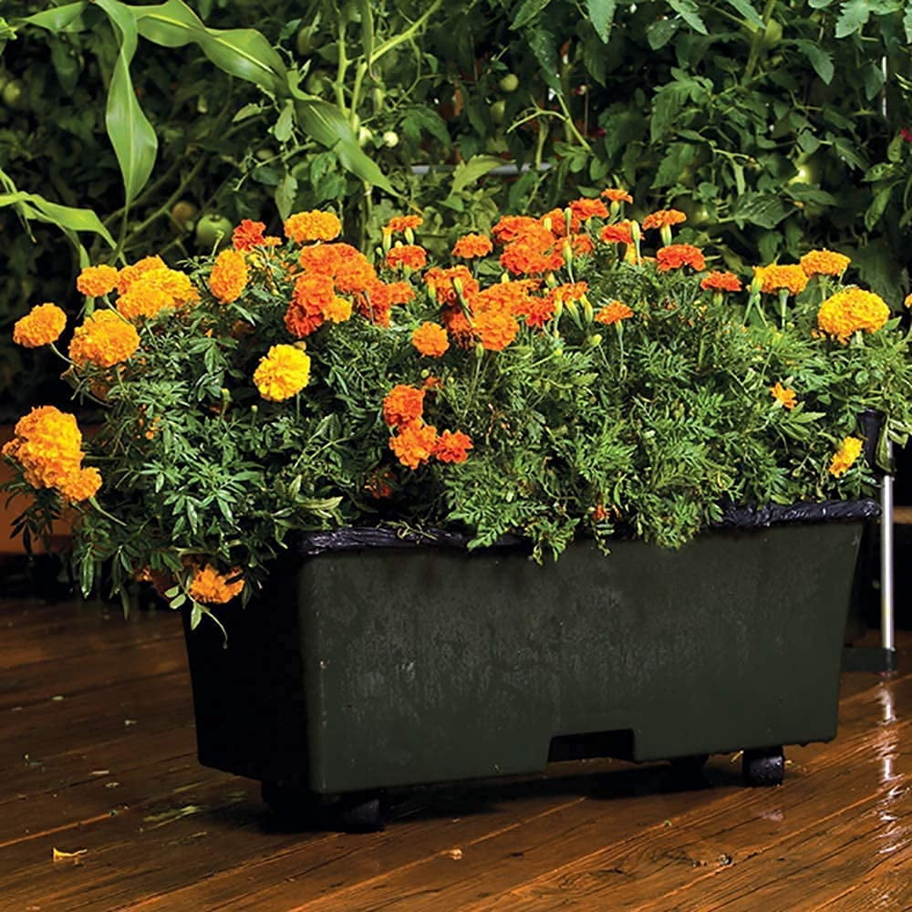 Garden Kit, Green (Pack of 4, Standard) - Walmart.com