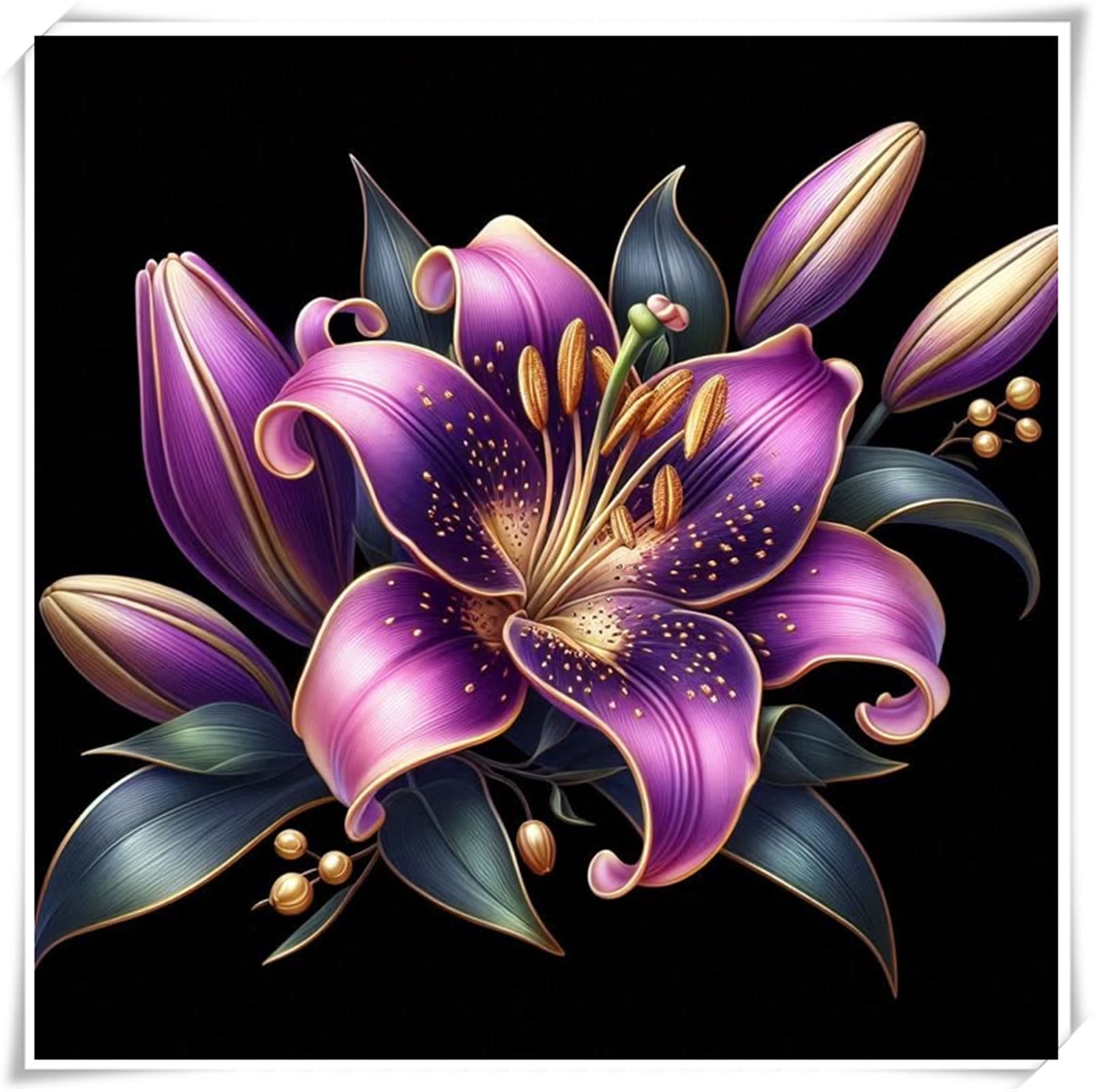 Garden Lily Elegance Decoration Perfect for Borders Striking Rare ...