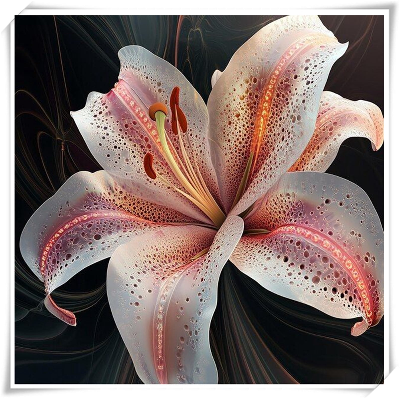 Garden Lily Elegance Decoration Perfect for Borders Striking Rare ...