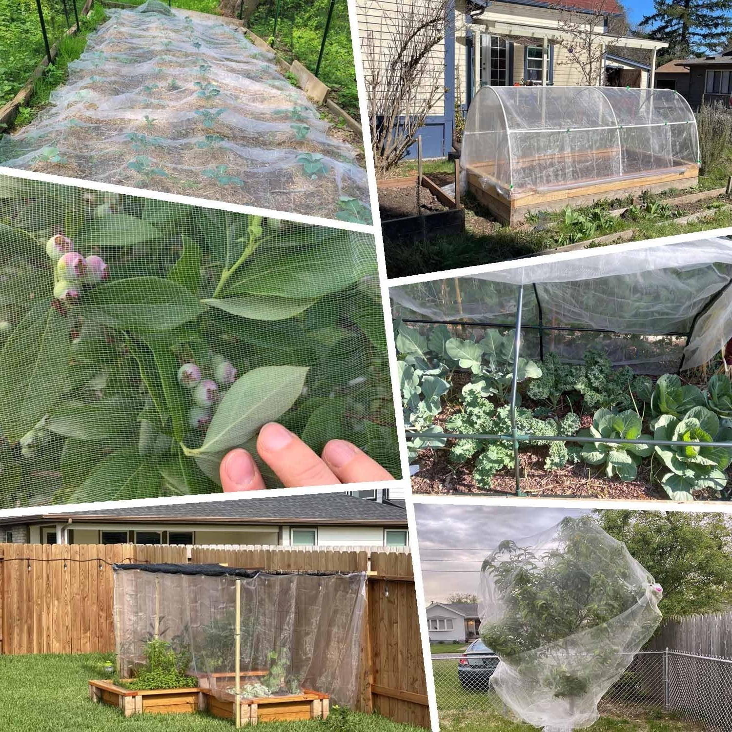 Garden Mesh Netting, Ultra Fine Plant Netting Covers, Garden Netting ...