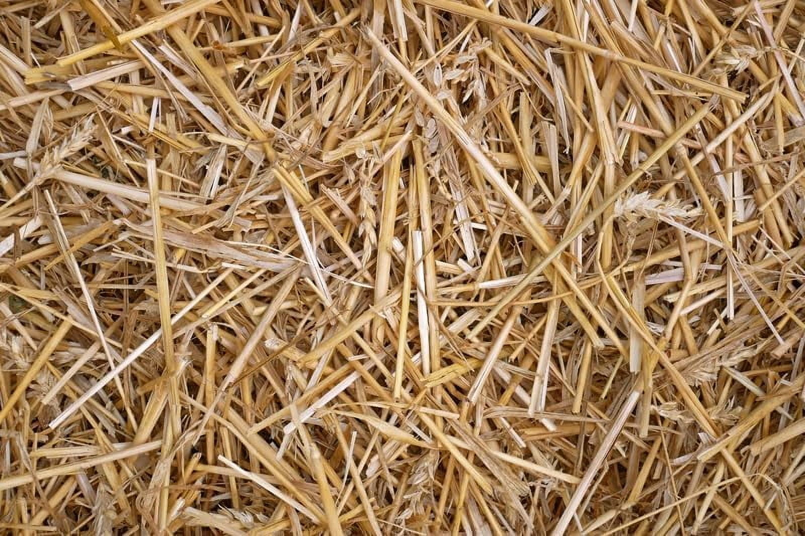 Garden Mulch, 100% Natural Wheat Straw for Animal Bedding, Compost ...