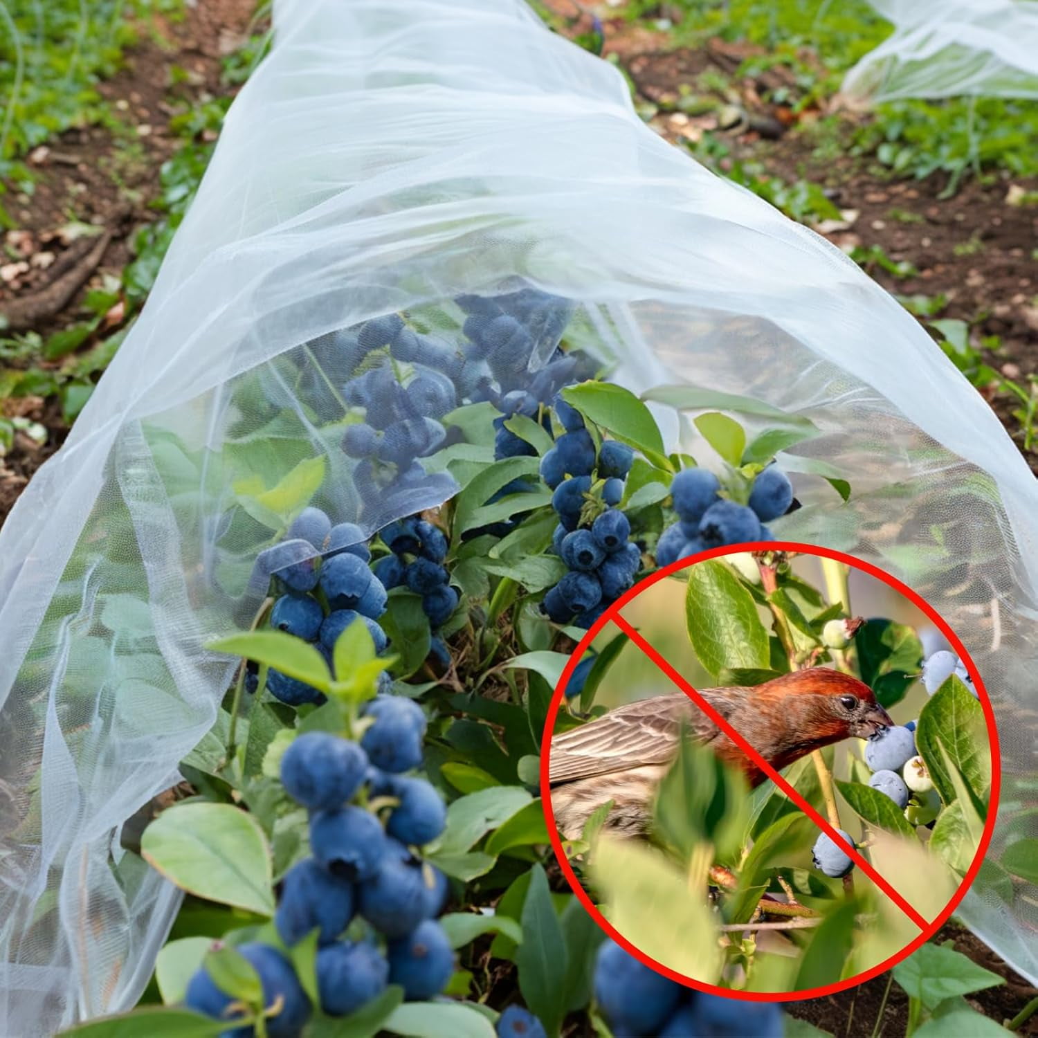 Garden Netting 10 X 50 FT Ultra Fine Netting for Garden Protection ...