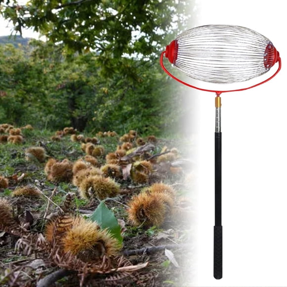 Pecan Picker Upper