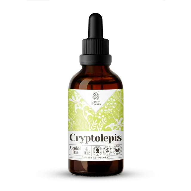 Cryptolepis Extract, Natural Herbal Supplement for Immune Support ...