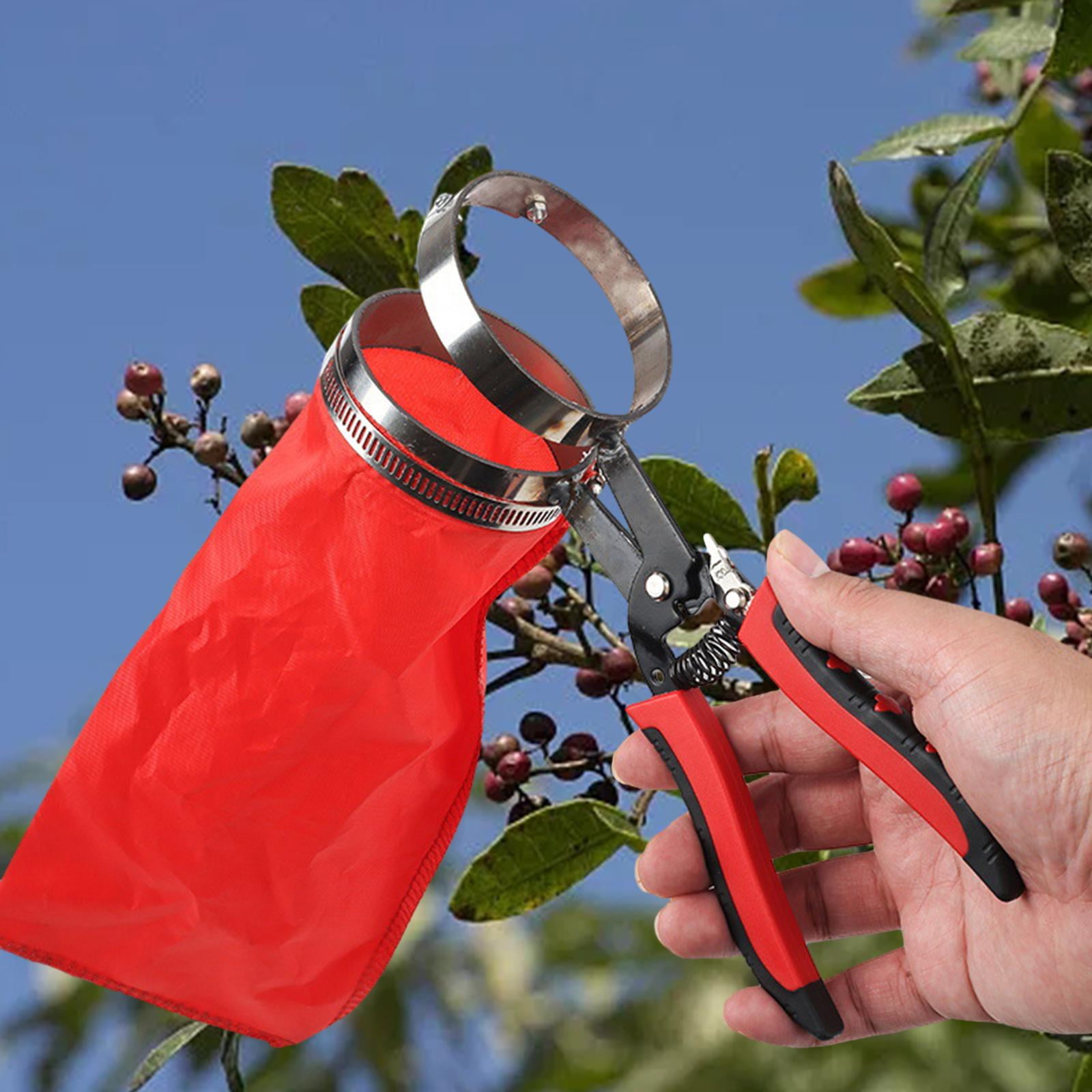 Garden Pepper Picker Pepper Scissors Fruit and Vegetable Picking ...