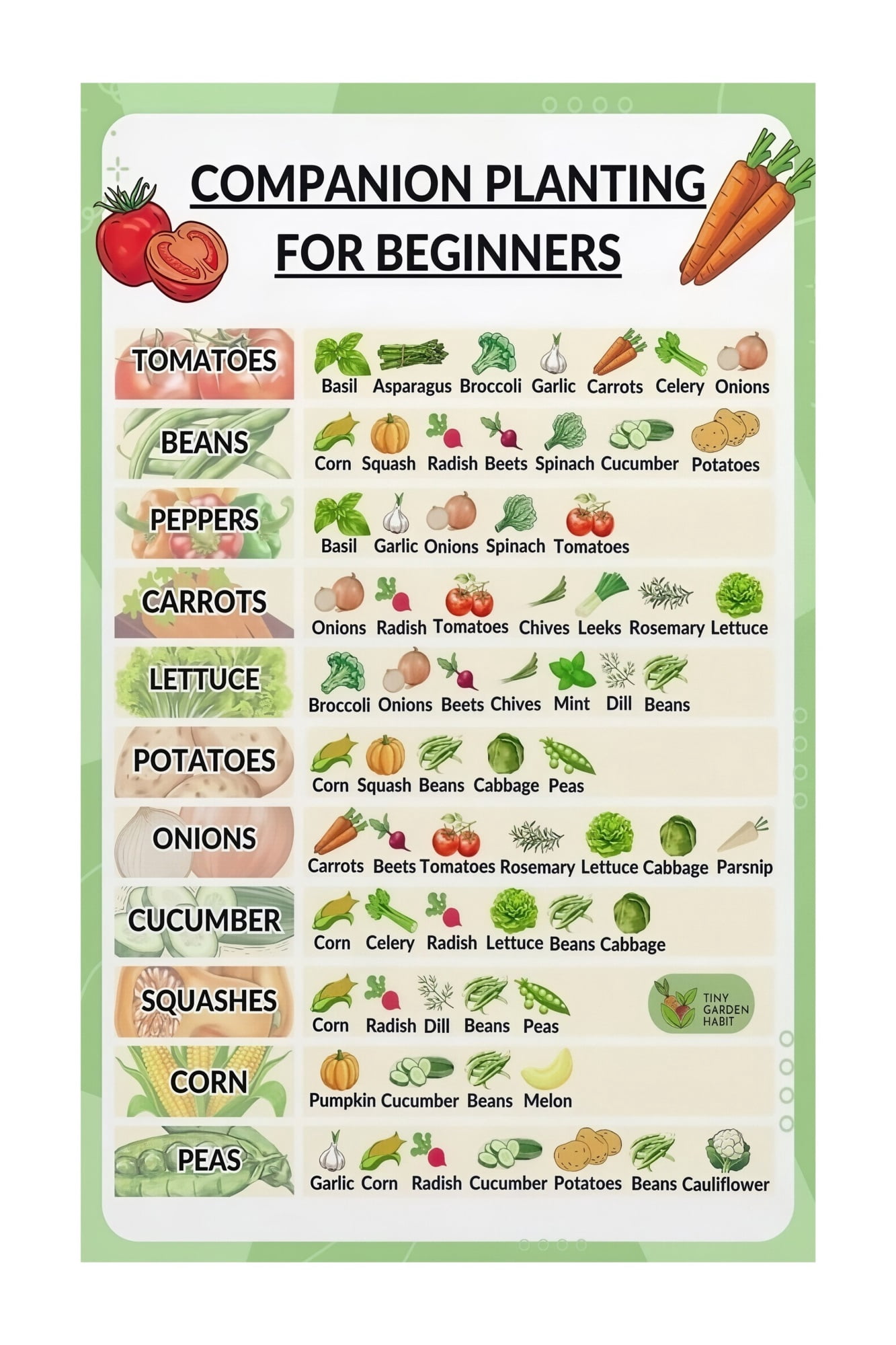 Garden Planning Poster Companion Planting Guide Chart What to Plant ...