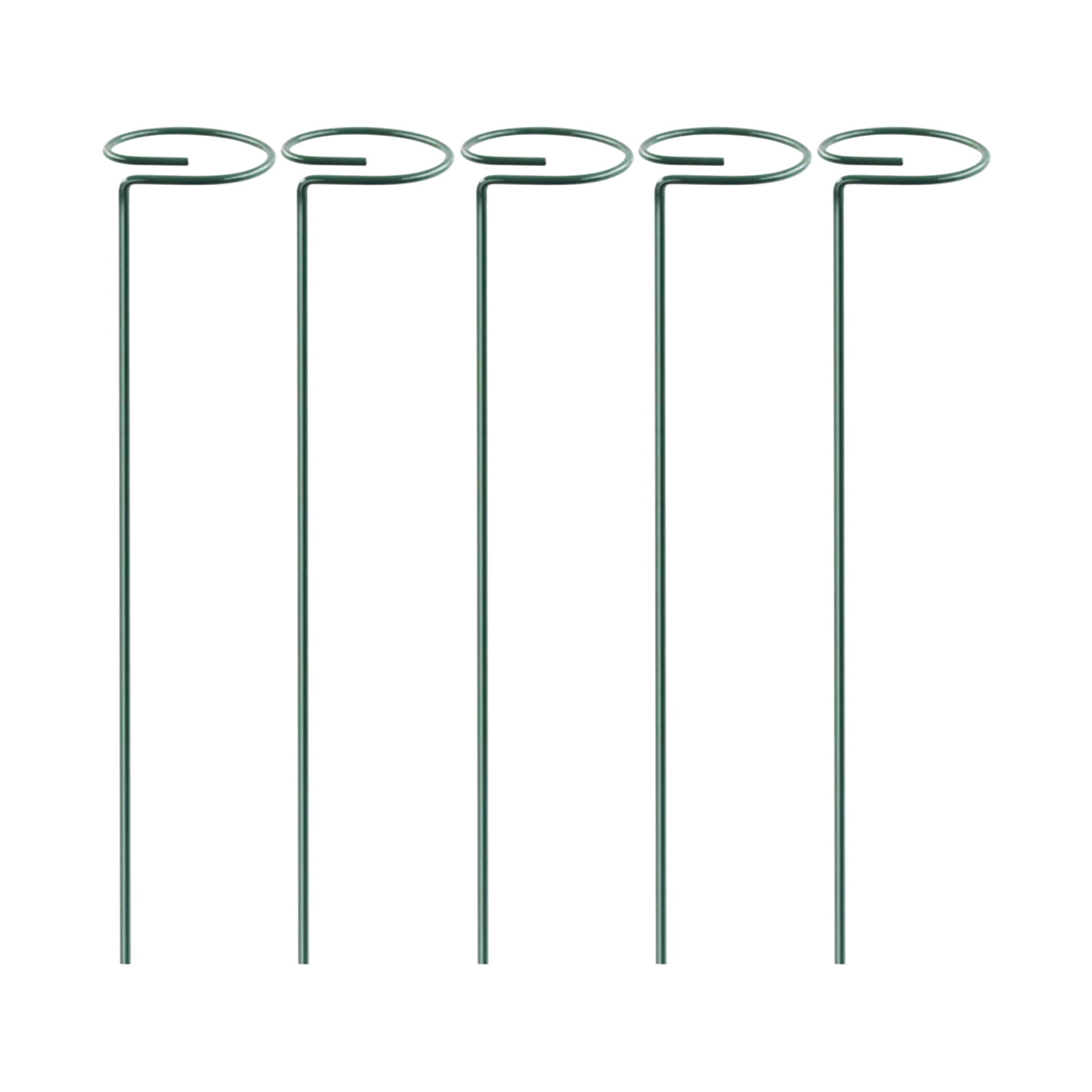 Garden Plant Bracket Climbing Iron Support Metal Circular Indoor and ...