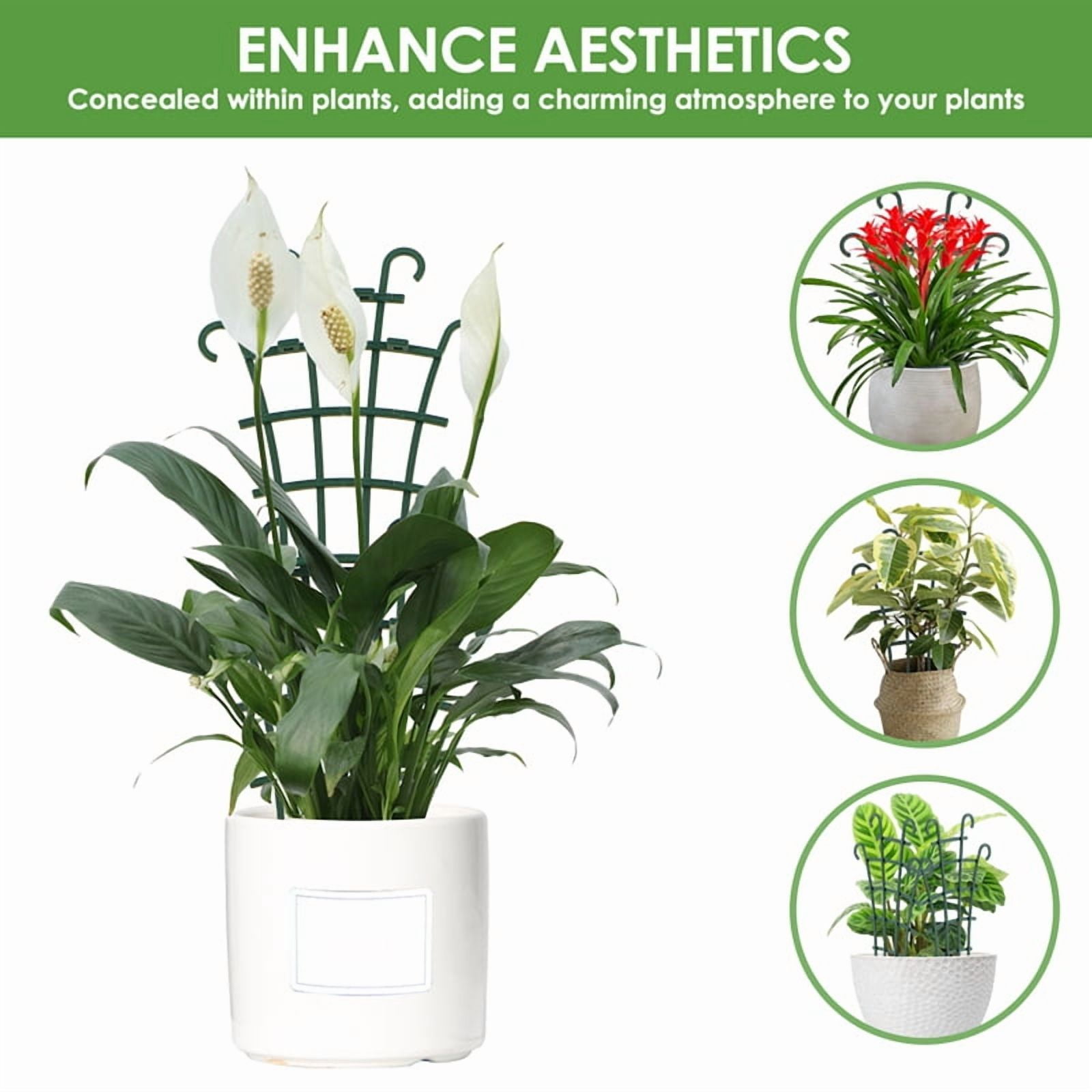 Garden Plant Climbing Stand Potted Vegetable Stand Reusable Vegetable ...