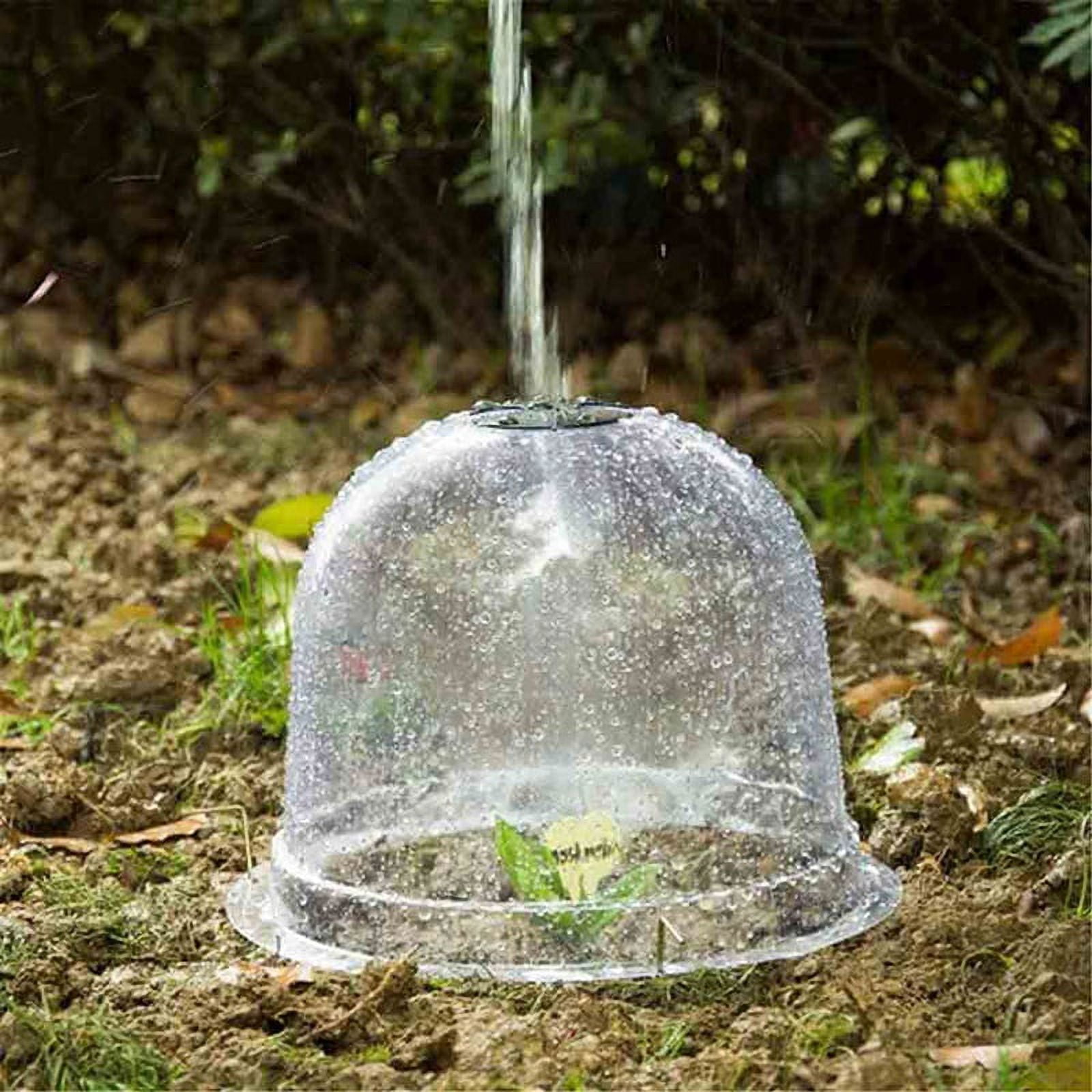 Garden Plant Cloche, 6 Pieces Plastic Plant Bell, Propagation Bells ...