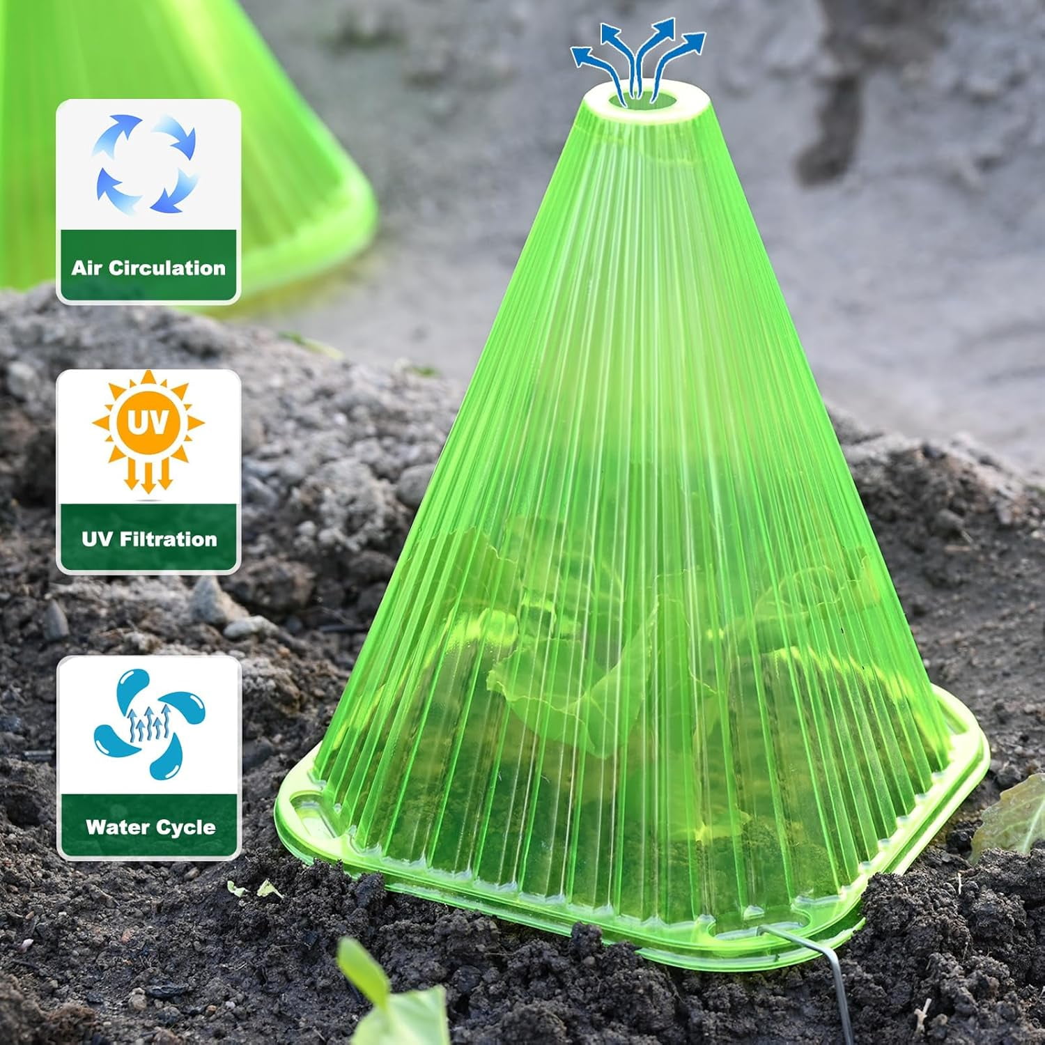 Garden Plant Cloches, 30 Pack Reusable Bell Jar Covers for Frost ...