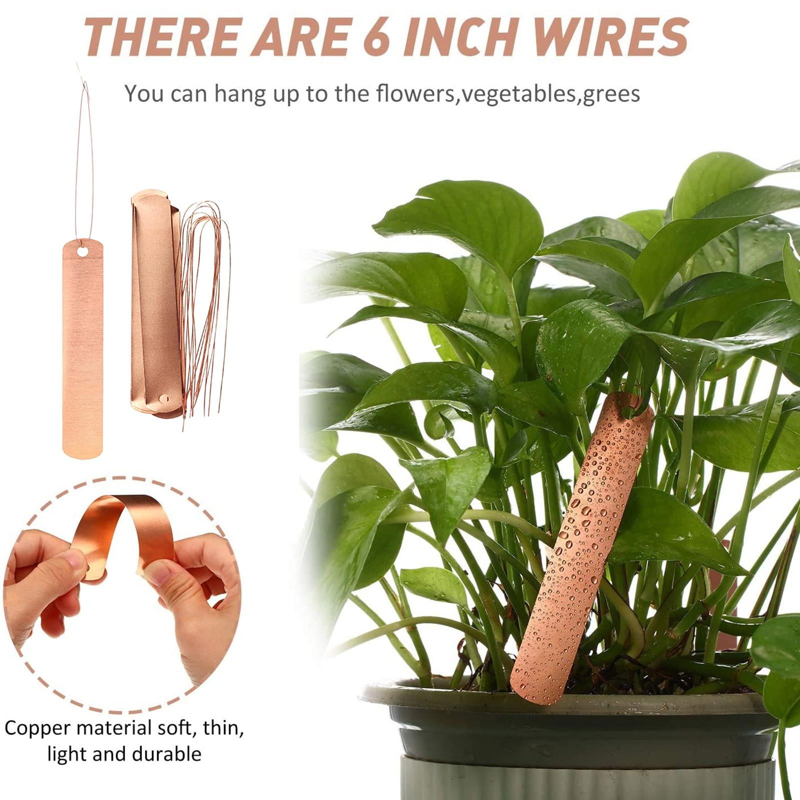 Garden Plant Labels, Metal Plng Sign Marker Tags for Indoor Plants ...