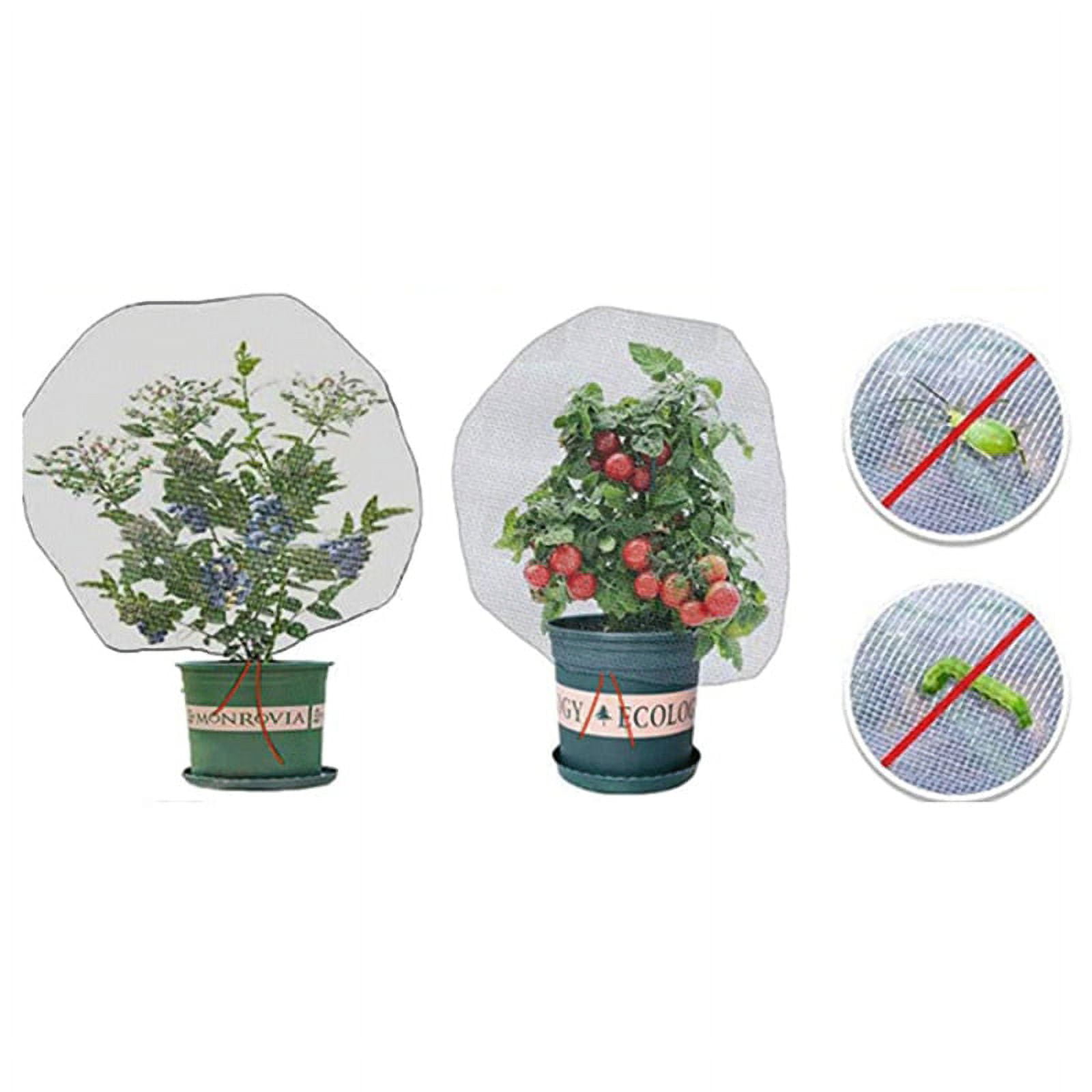 Garden Plant Protects Mesh Netting with Drawstring for Pest Control ...