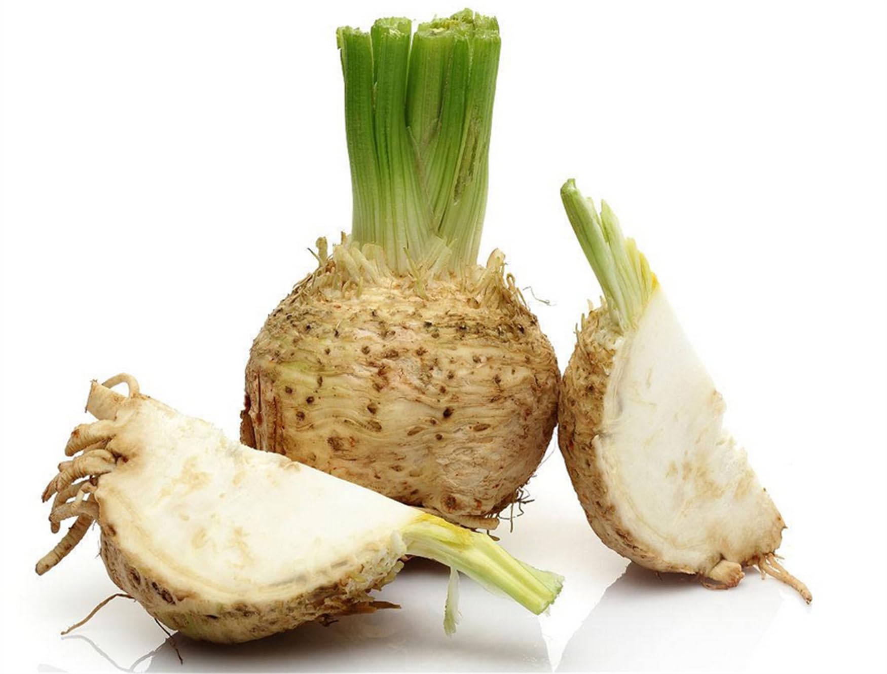 Garden Plant Seed AJH3 500+ Giant Prague Celeriac Seeds Apium ...