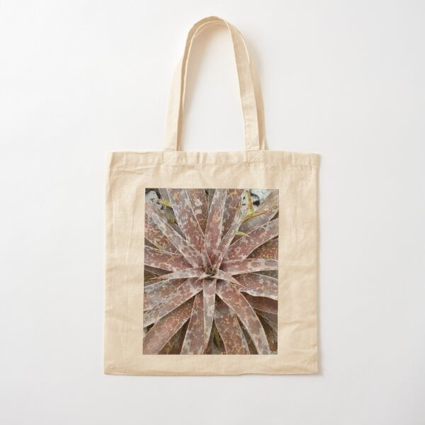 Garden, Plant, Succulent, Cactus, Spotted Succulent, Hardy Succulent ...