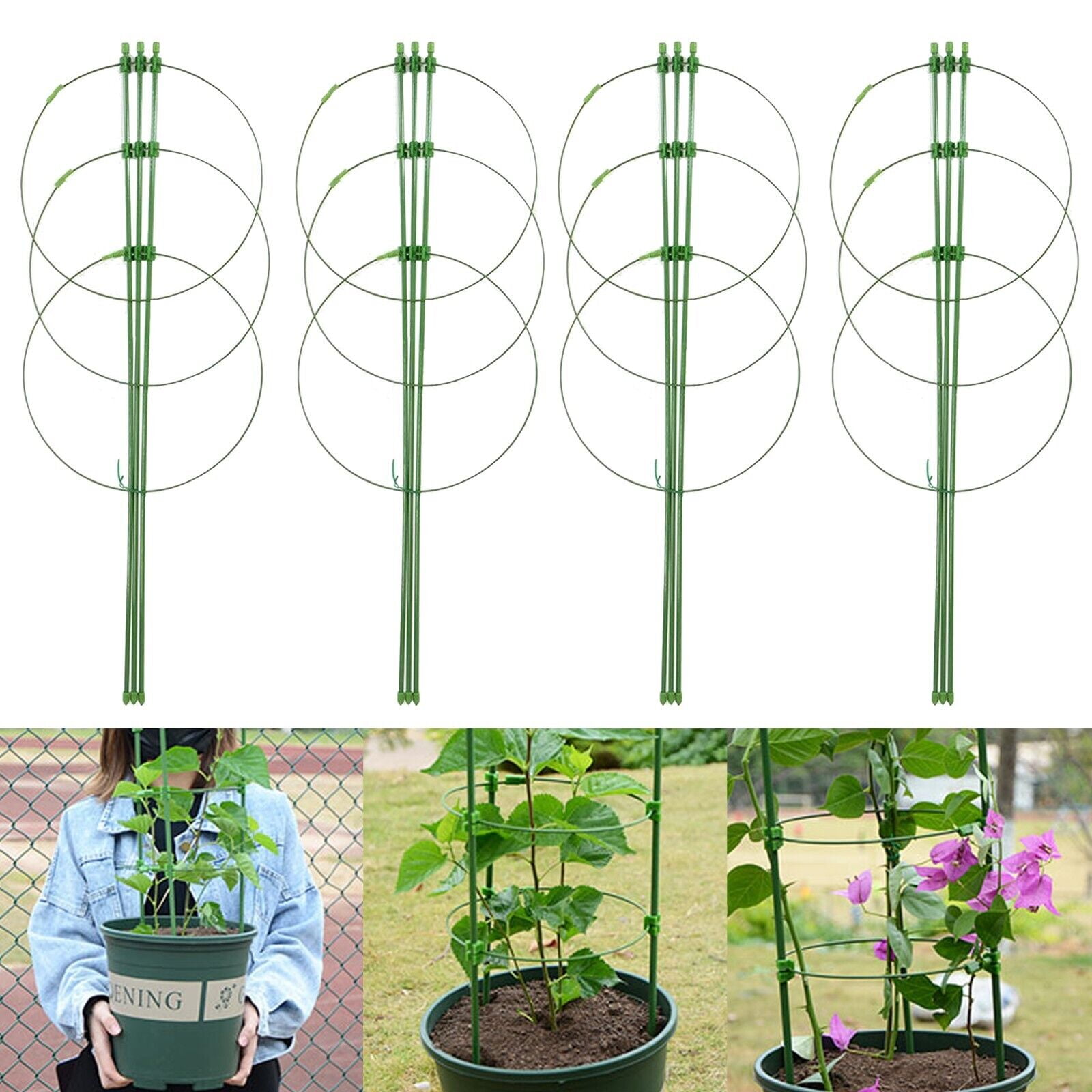 Garden Plant Support Cages Ring Diameter 18cm，Support Rod，Potted Garden ...
