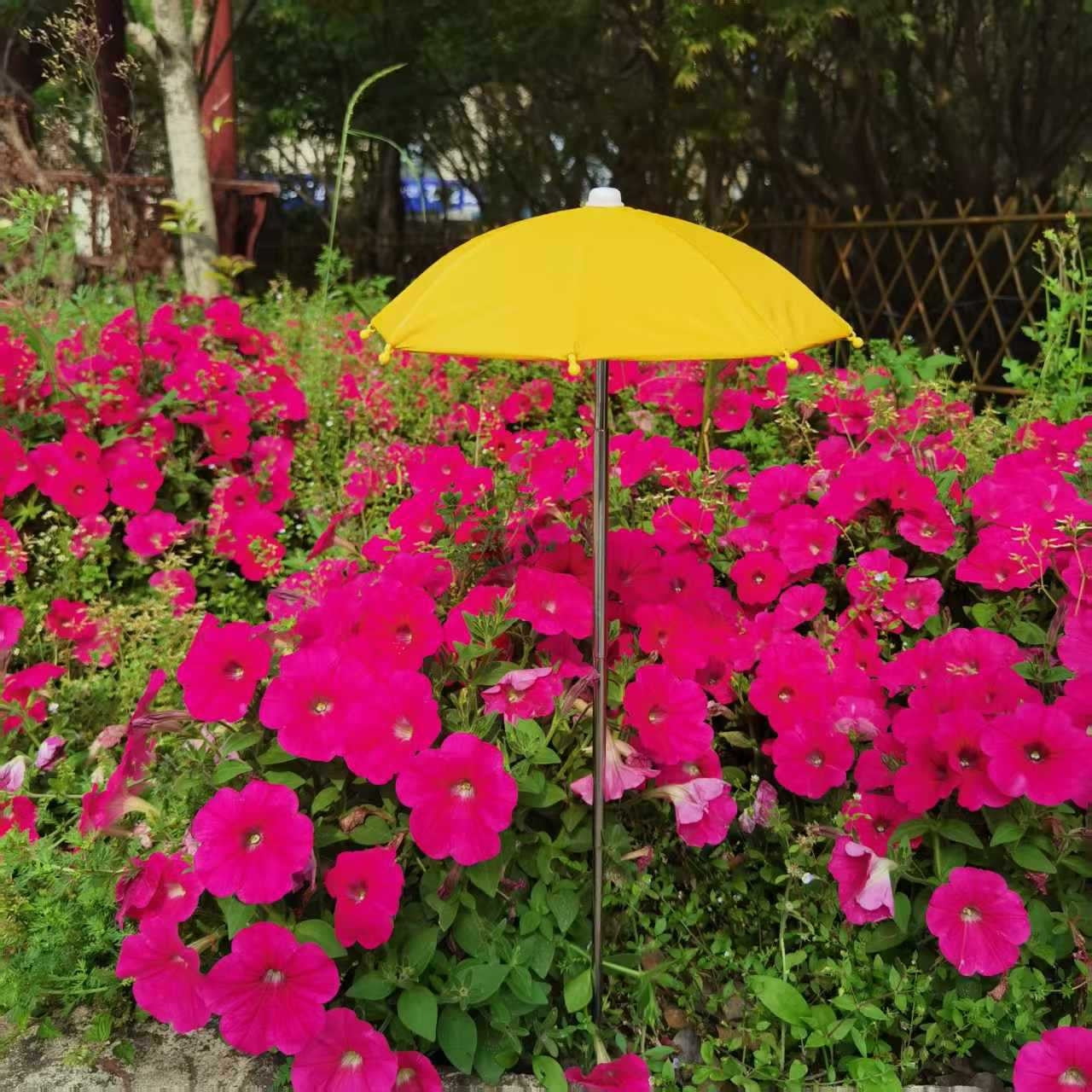 Garden Plant Umbrella with Long Pole, 24Inch Colorful Plant Umbrellas ...