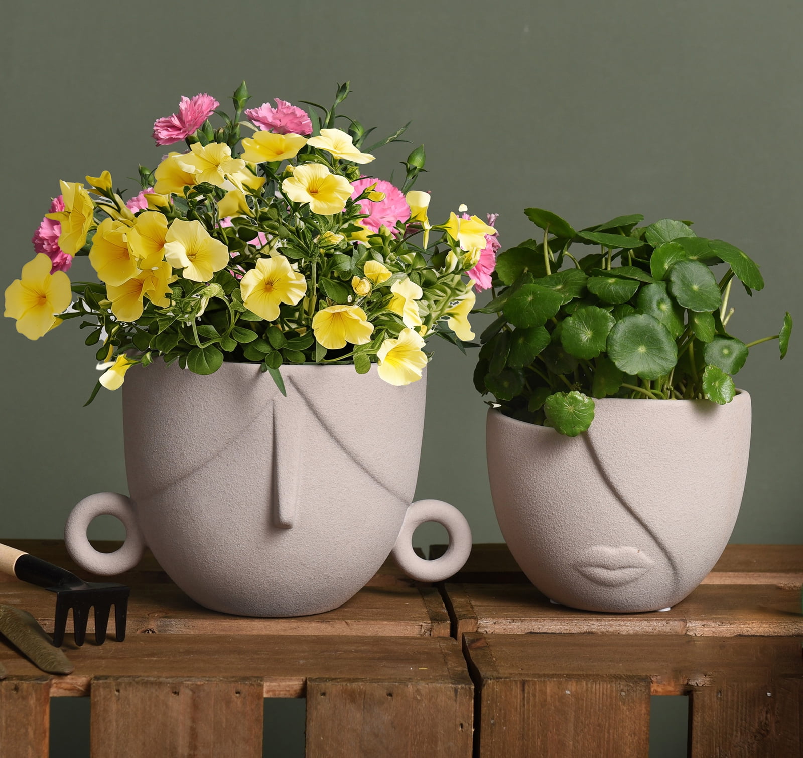 "Quoowiit Succulent Face Flower Pots, Set of 2 Ceramic Planters with ...
