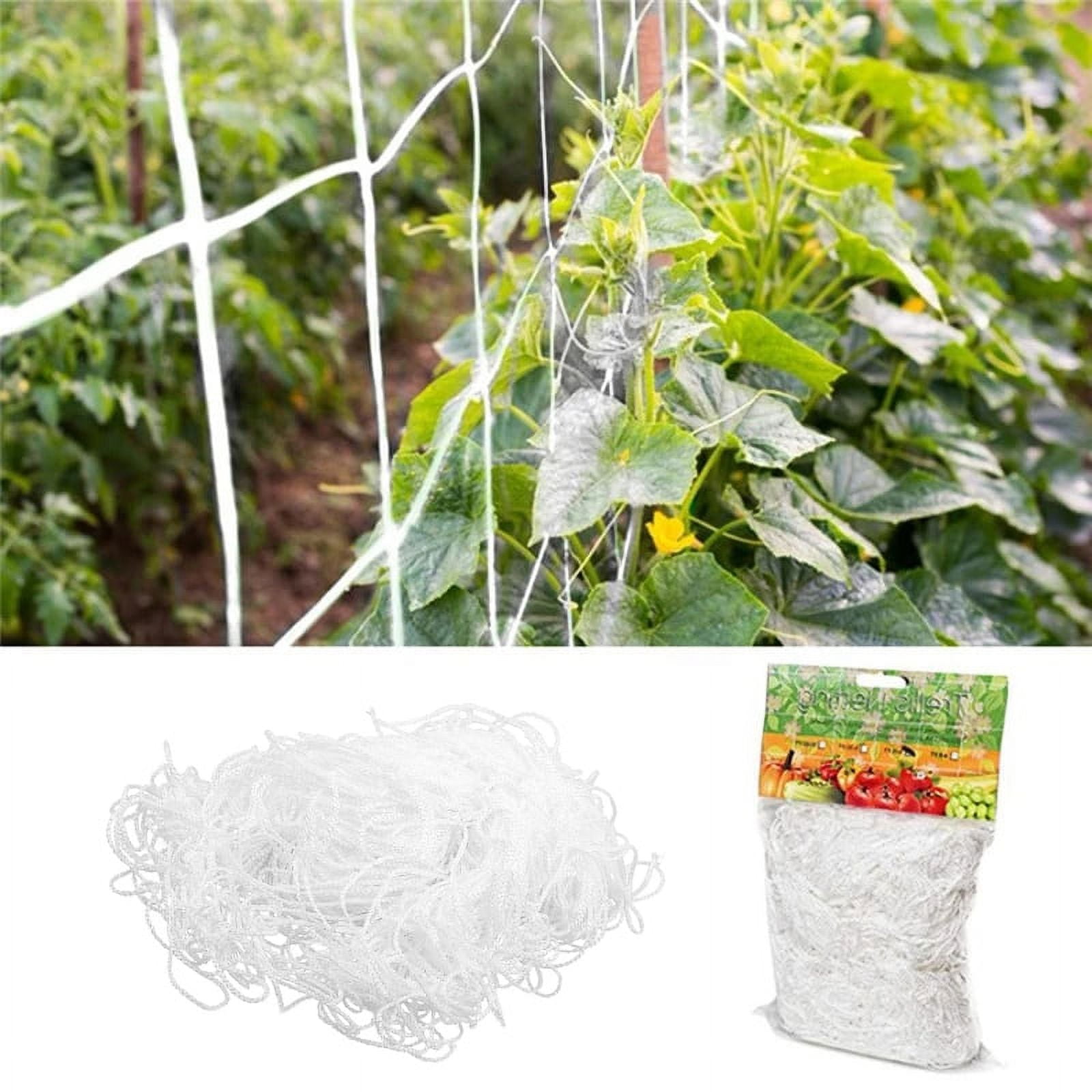 Garden Plants Climbing Net Polyester Net Morning Glory Flower Vine ...