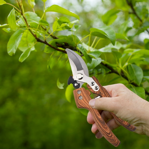 Garden Pruning Shears, Stainless Steel Bypass Hand Pruner with Ratchet ...