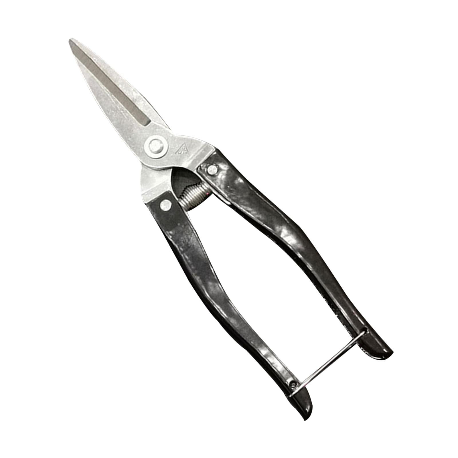 Garden Pruning sharp shear Fruit Picking Scissors for Bushes for Flower ...