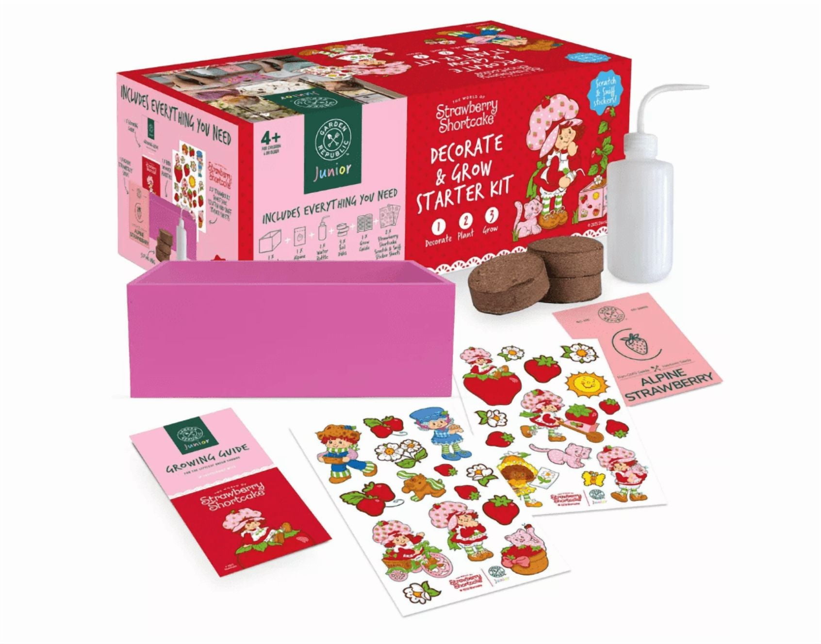 Garden Republic Jr. Strawberry Shortcake Decorate and Grow Starter Kit ...