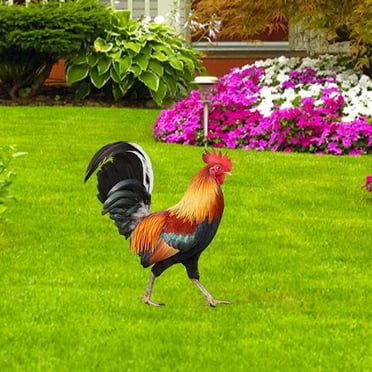 Backyard Expressions 32 Inch Bright Metal Rooster Garden Statue ...