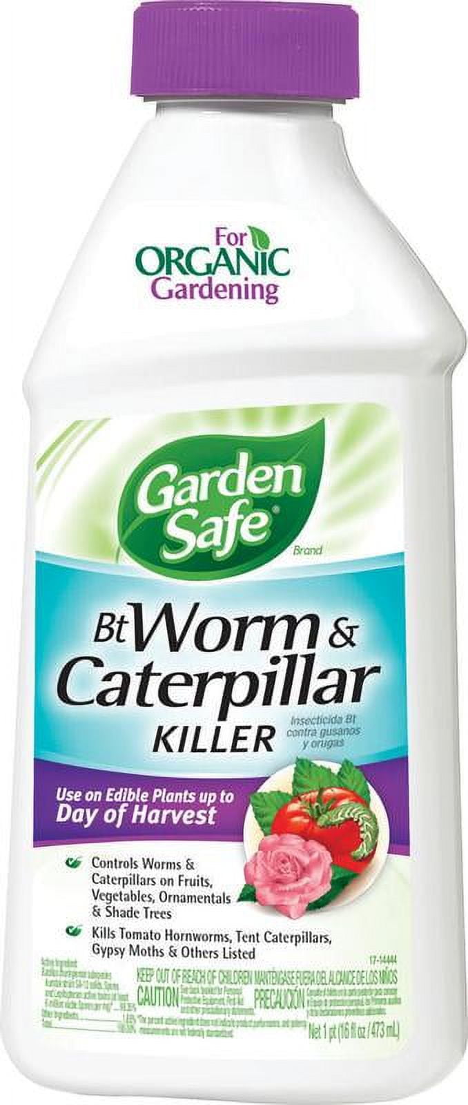 Garden Safe Bt Worm & Caterpillar Killer, Concentrate, 16-fl oz ...