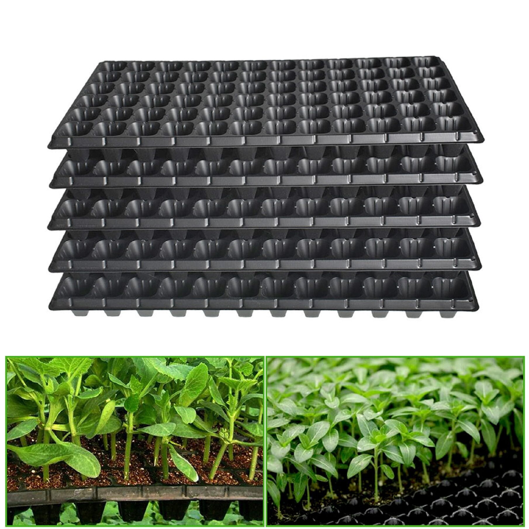 Garden Seedling Trays, 72-Cell Plastic Plant Growing Trays, Square 21 x ...