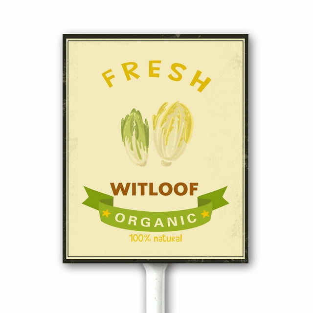 Garden Signs for Vegetable Witloof Metal Plant Markers for Vegetable ...