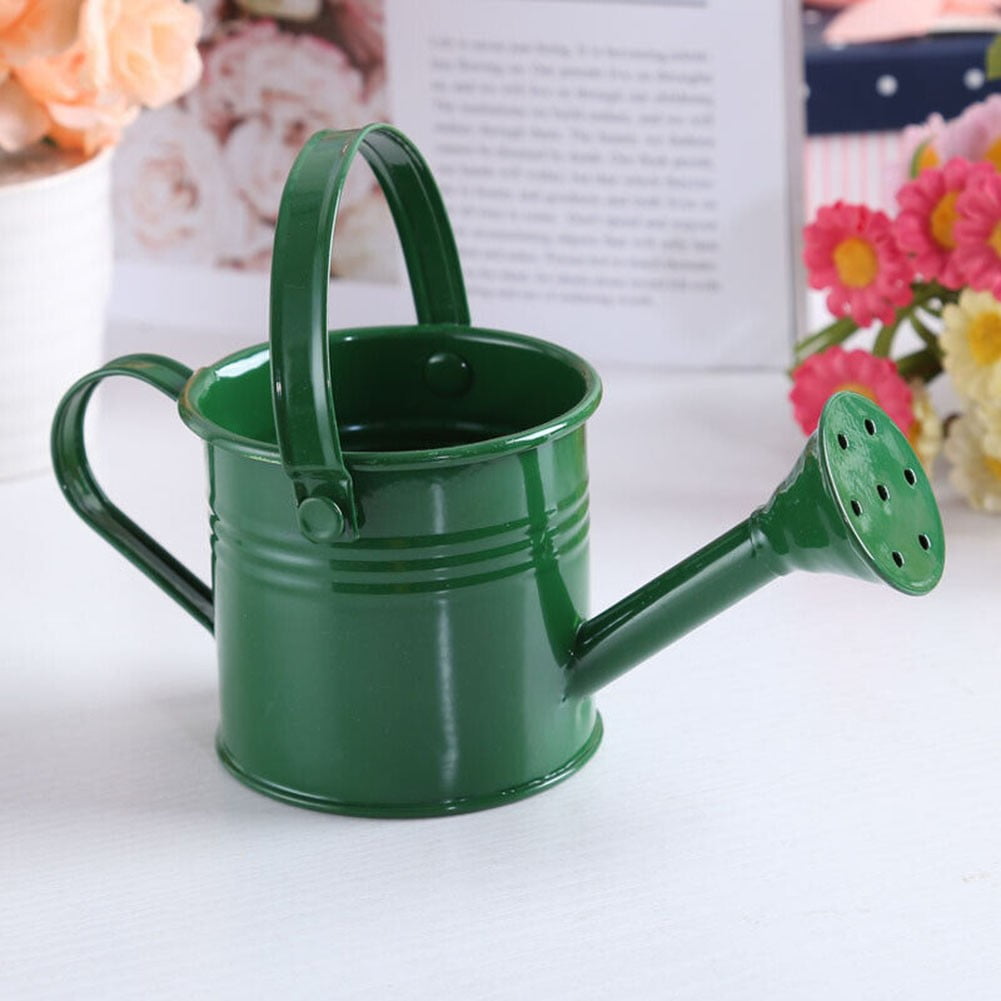 Garden Small Water Spraying Pot Flower Kettle Metal Watering Can ...