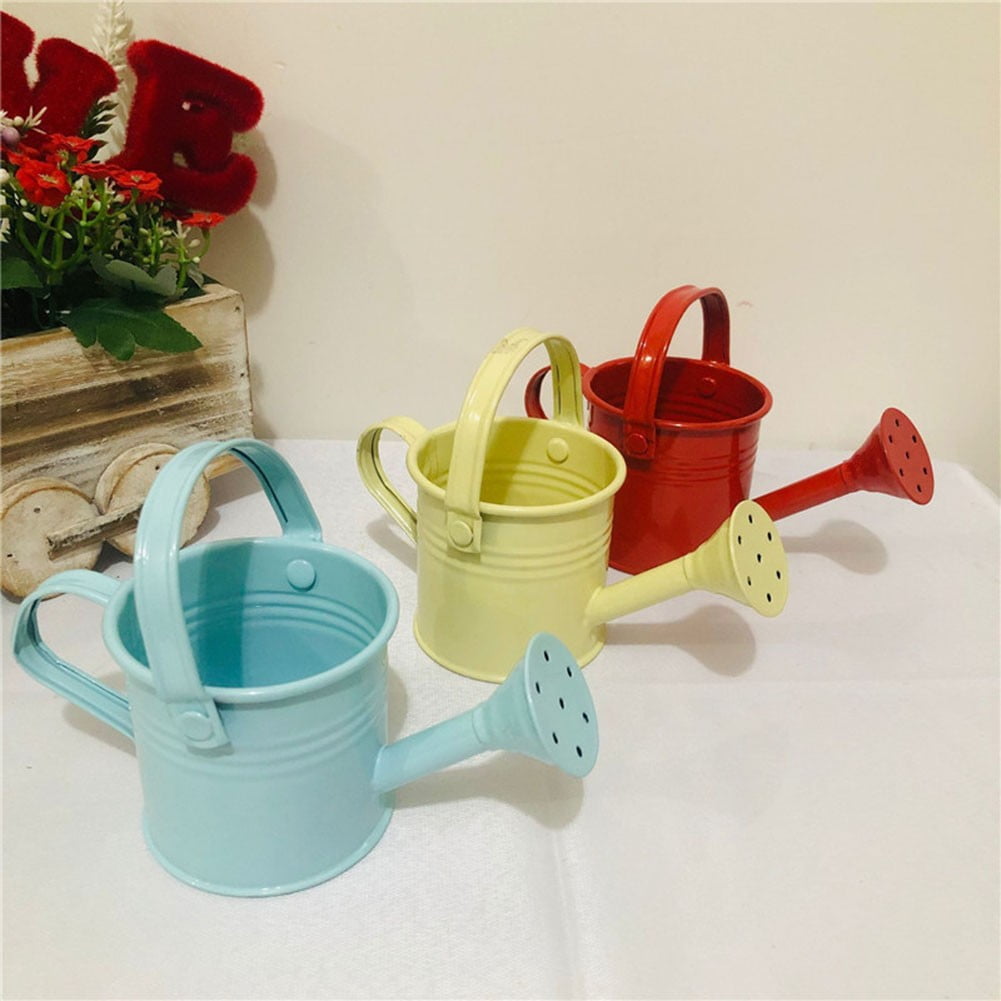 Garden Small Water Spraying Pot Flower Kettle Metal Watering Can ...