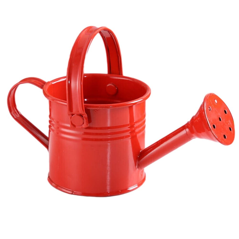 Garden Small Water Spraying Pot Flower Kettle Metal Watering Can ...