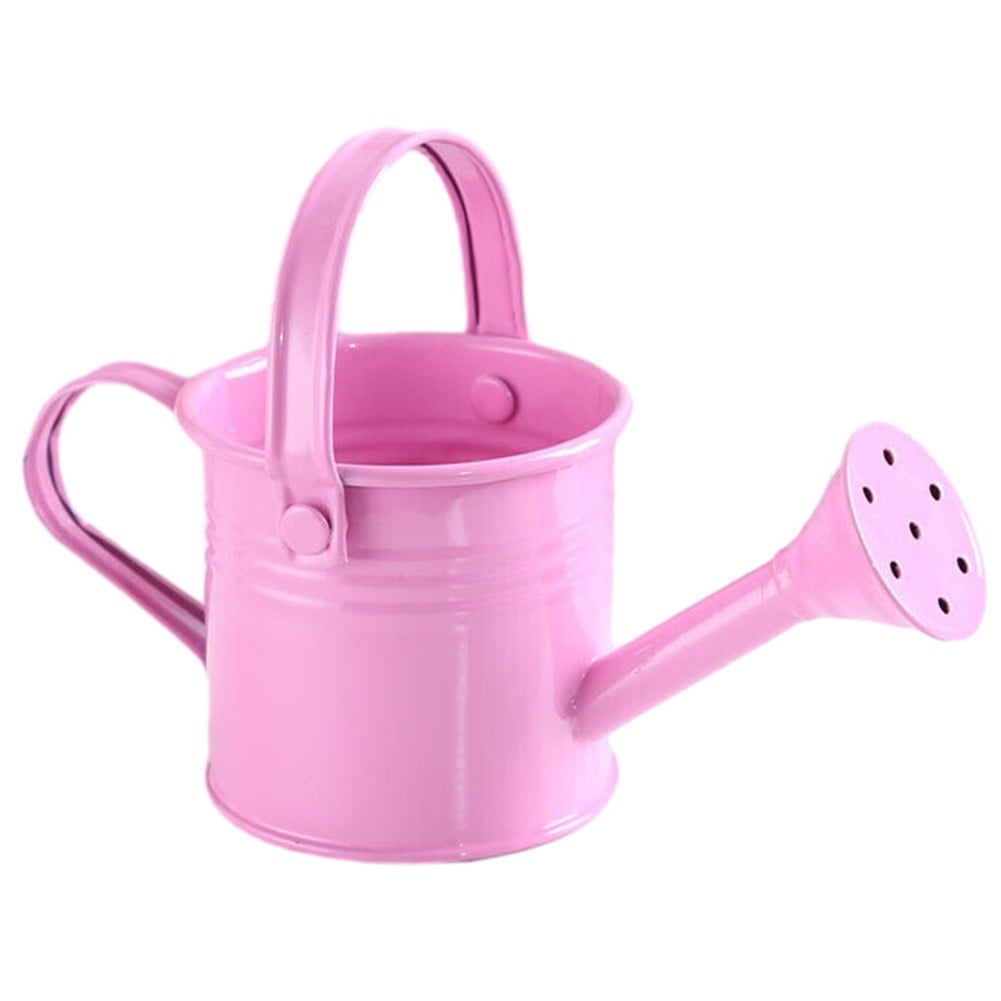 Garden Small Water Spraying Pot Flower Kettle Metal Watering Can ...