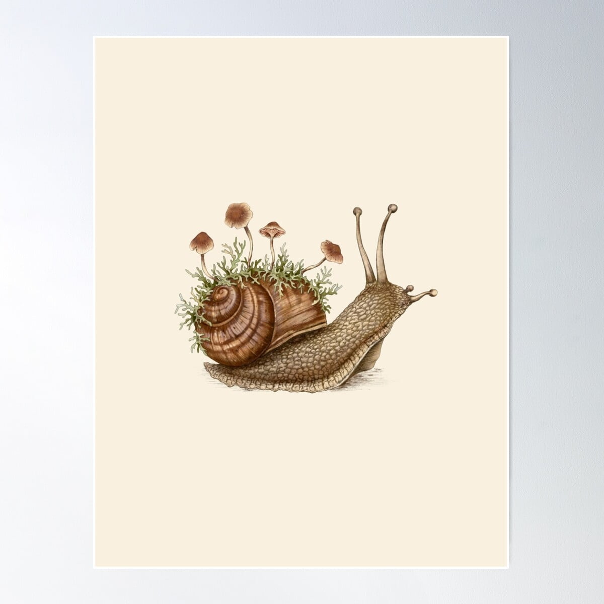 Garden Snail Illustration Poster Wall Art, Modern Wall Decor For Living ...