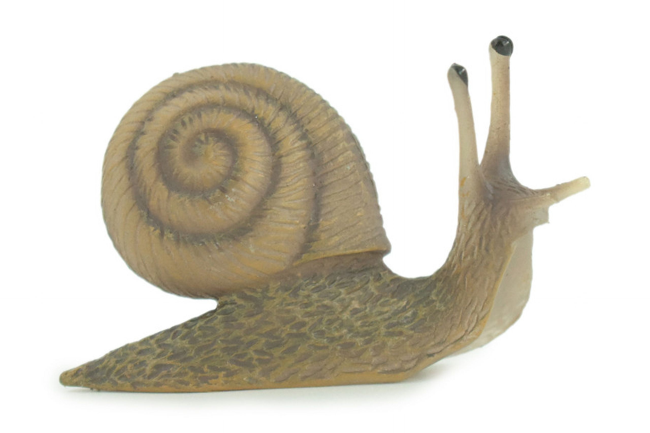 Garden Snail, Scaly-foot Gastropod, Museum Quality, Hand Painted, Brown ...