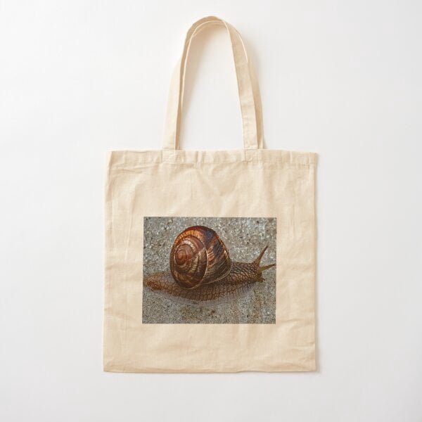 Garden Snails, Garden Snail For Sale, Garden Snail For Pet, Giant ...