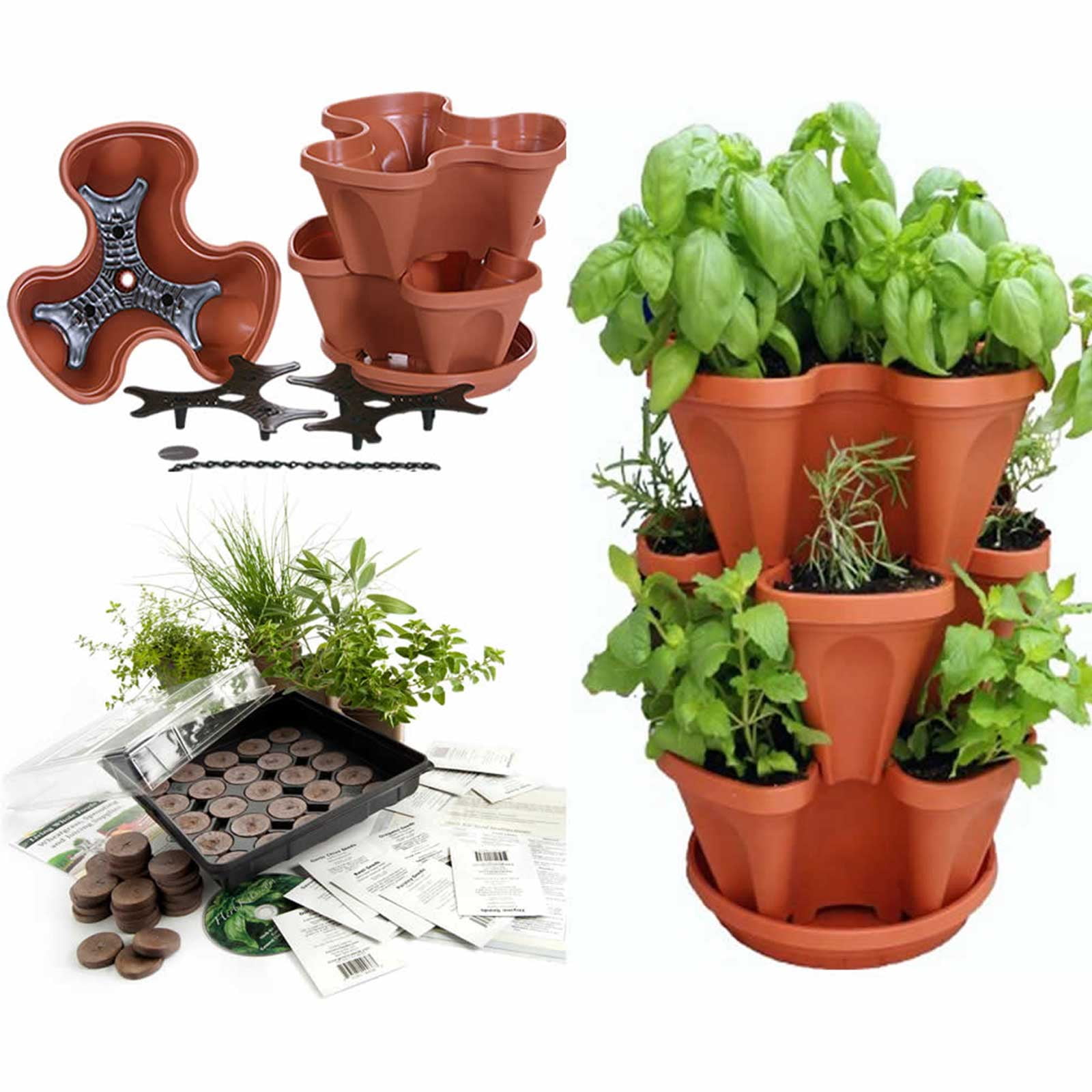 Handy Pantry Garden Stacker Planter Parsley Culinary Herbs Garden Kit ...