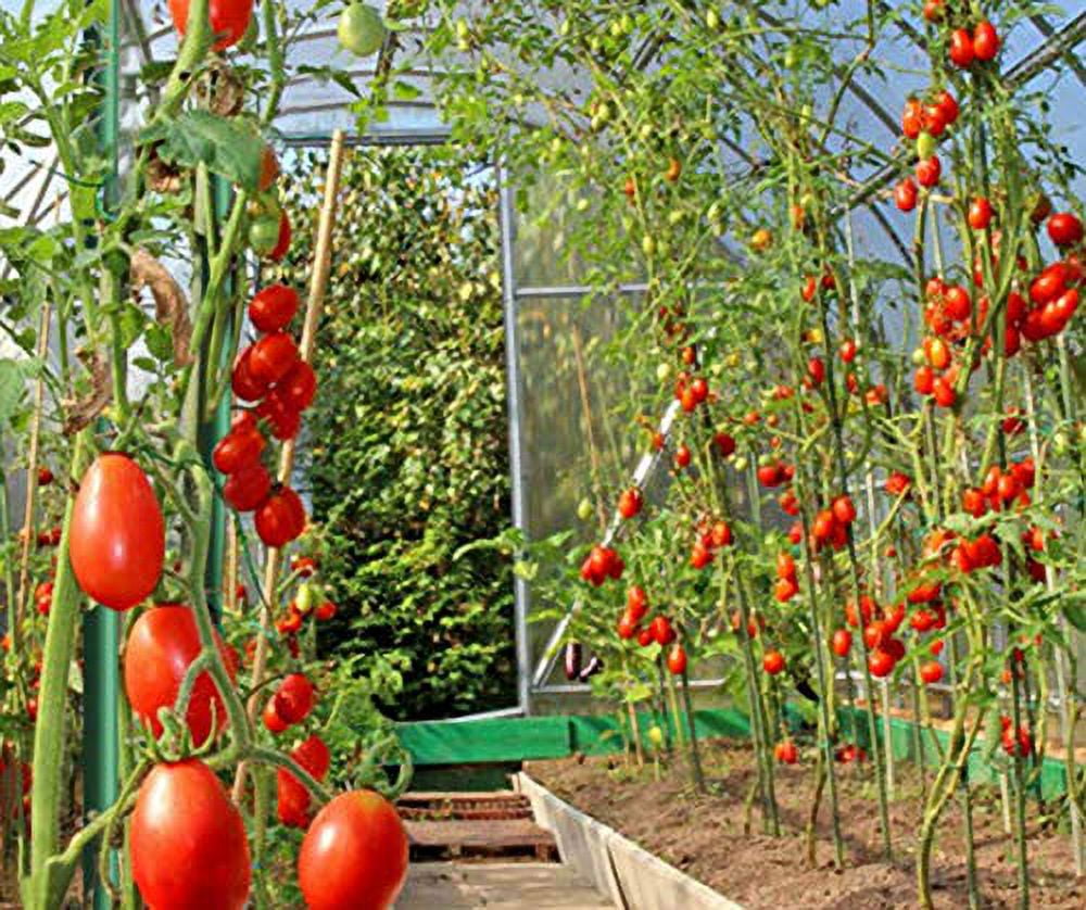 Garden Stakes 5-Ft for Climbing Plants Supports Pole 10 Pack Rust-free ...