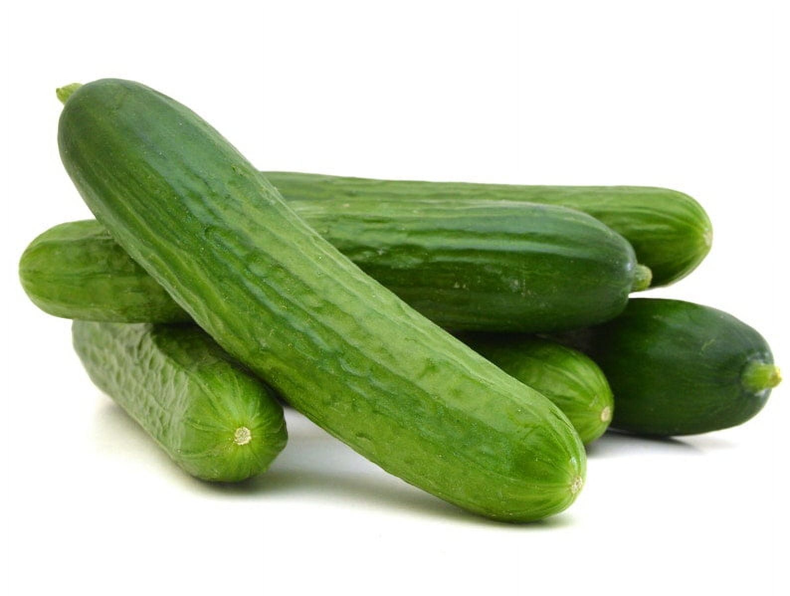 Garden Sweet Burpless Cucumber Heirloom Premium Seed Packet - Walmart.com