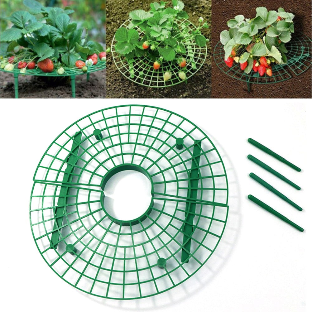Garden Tools Gardening Tools Strawberry Stand 10 Pack Strawberry Plant ...