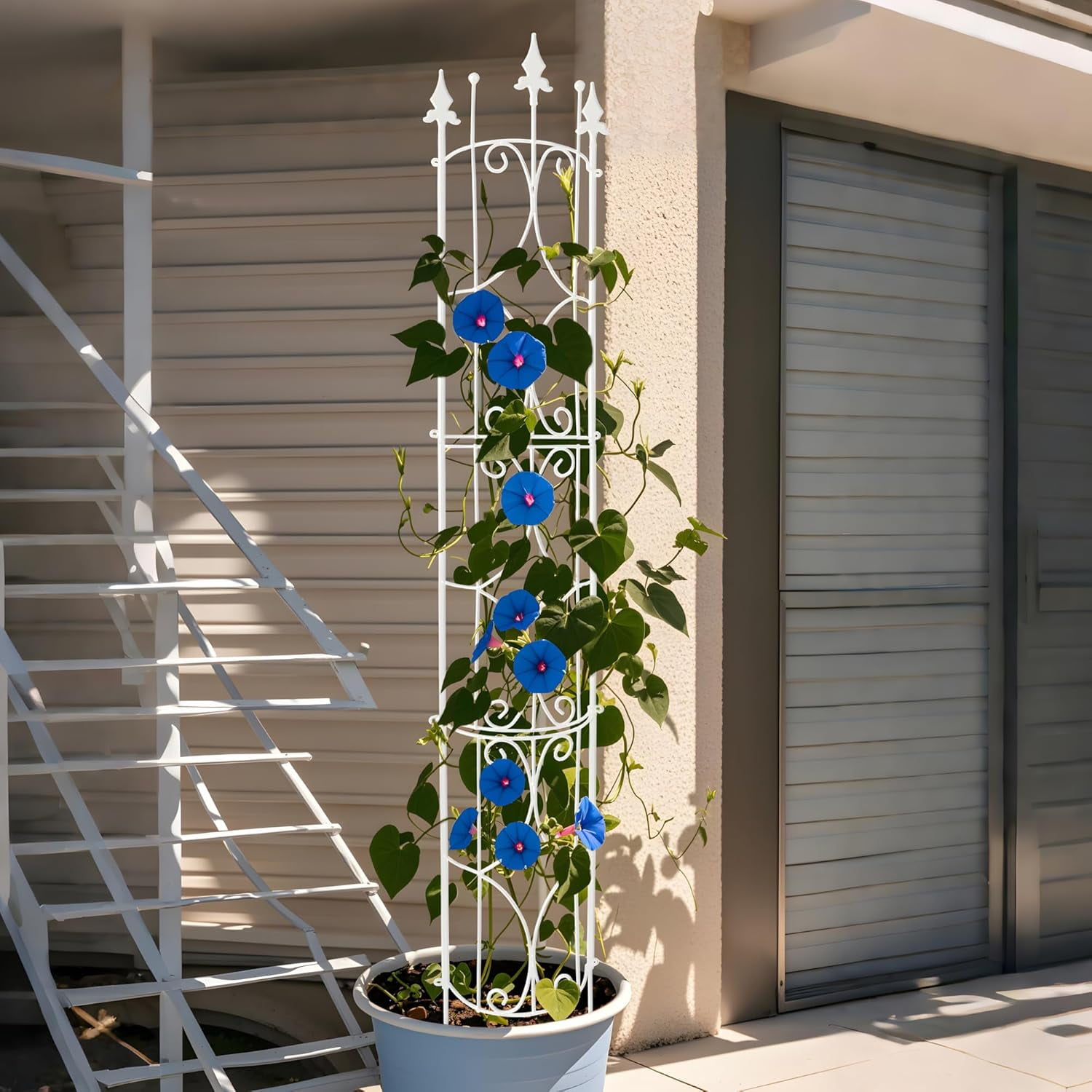 Garden Trellis 2 Pack 72'' H x 12'' W Metal Plant Trellis Indoor ...