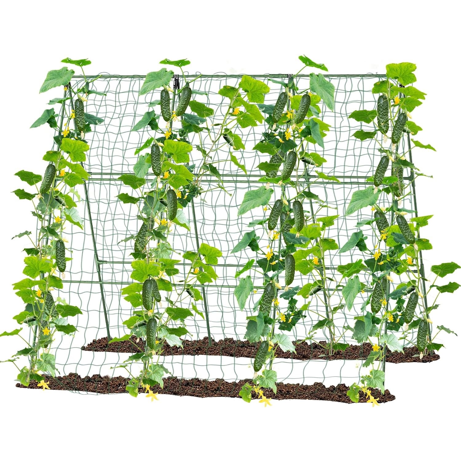 Plastic Plant Trellis Garden Trellis Mini Trellis for Potted Plants ...