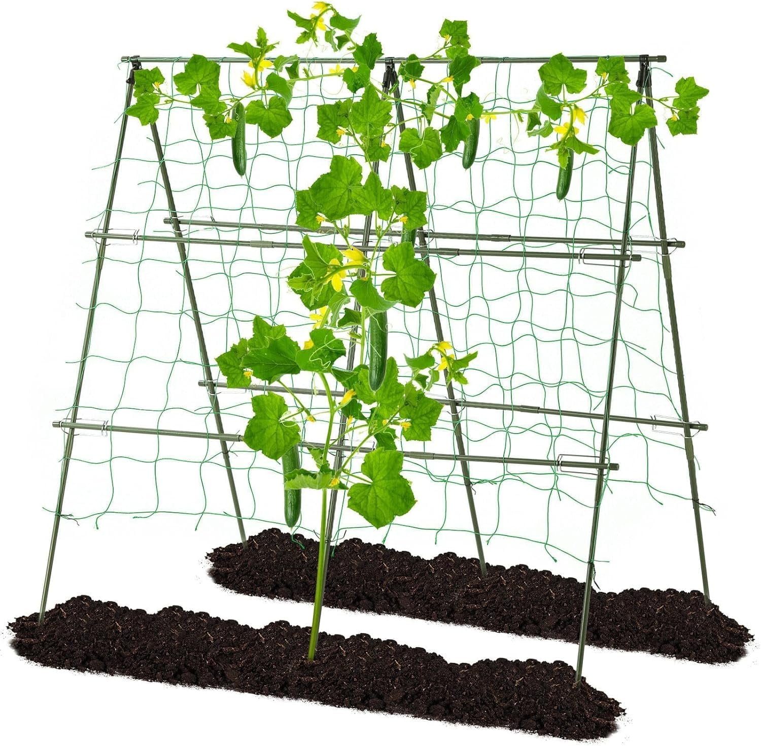 Garden Trellis for Climbing Plants Outdoor, 4ft x 4ft Metal Cucumber ...