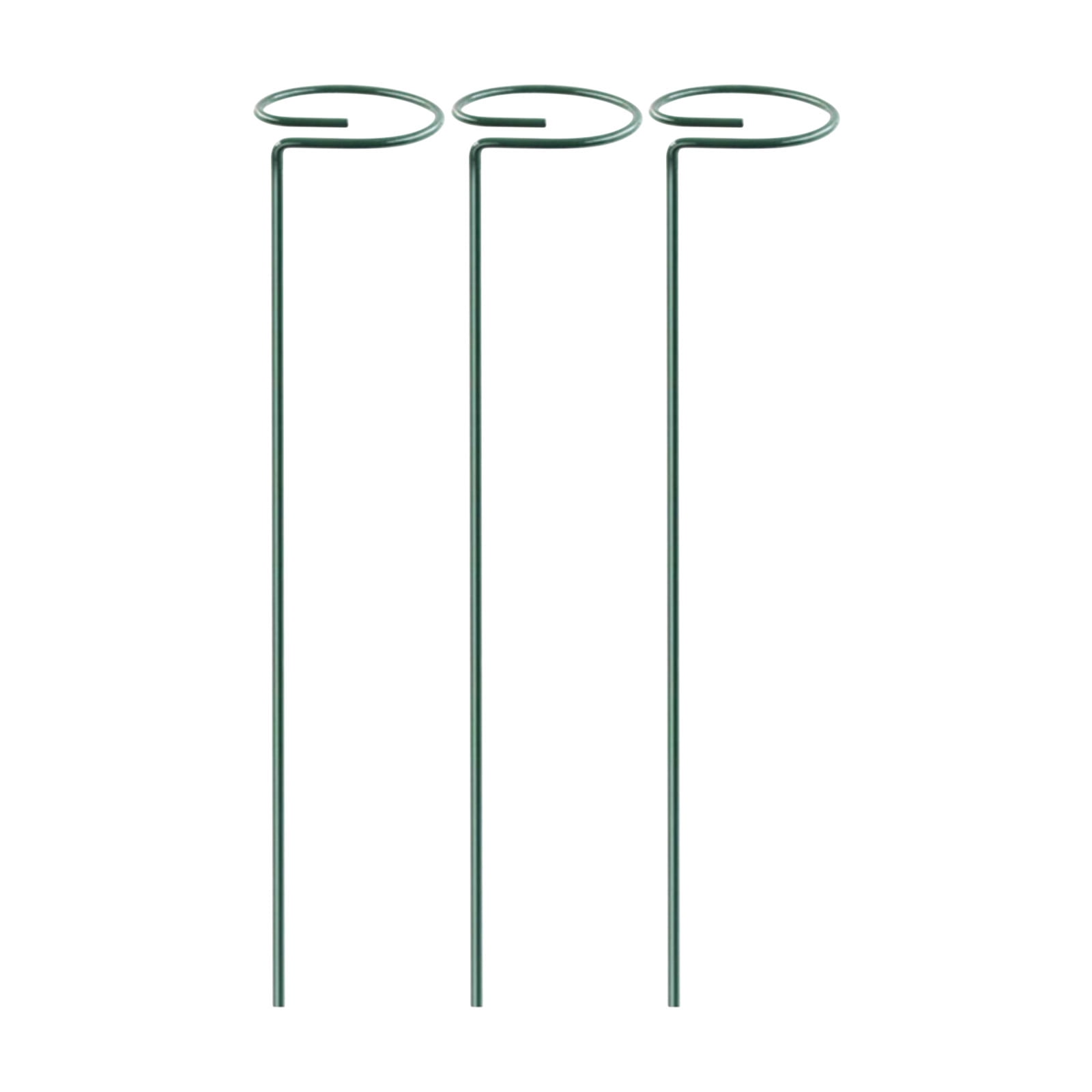Garden Trellis, Greenery Support Bracket, Iron Scroll Design for Indoor ...