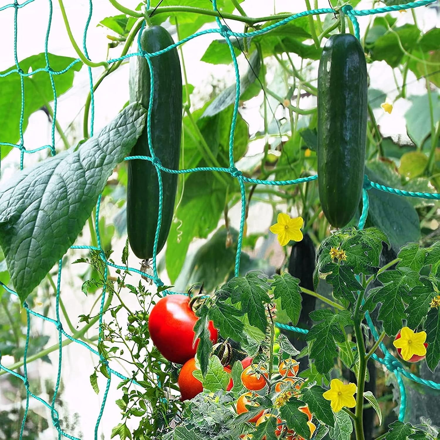 Garden Trellis Nylon Netting 8.2' x 6.6'Ft Garden Netting Heavy Duty ...
